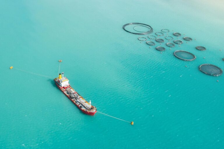 Water Quality Management in Fish Farms: Tips and Techniques - Blendspace