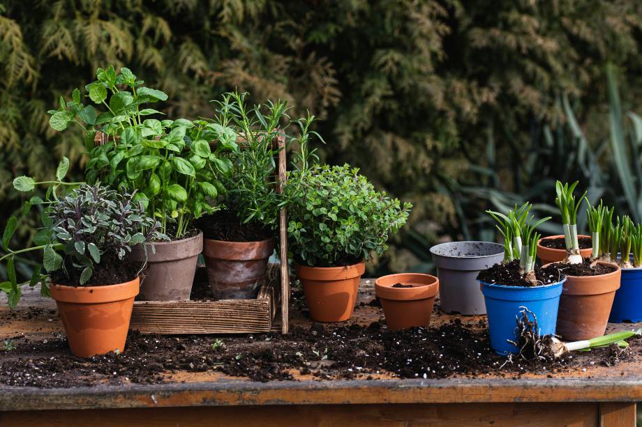 How to Be Creative with Gardening - Blendspace