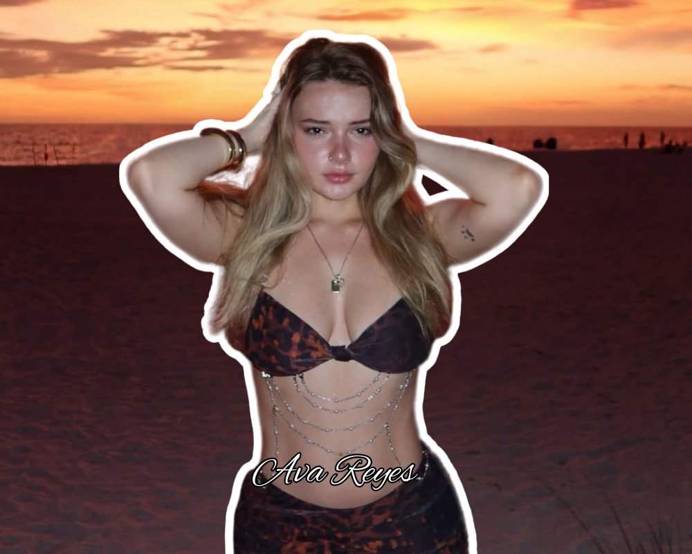 Bop House Members: Who They Are and Their Roles In the Team - Blendspace